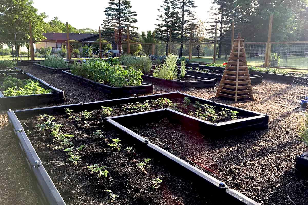 Playground Landscape Border