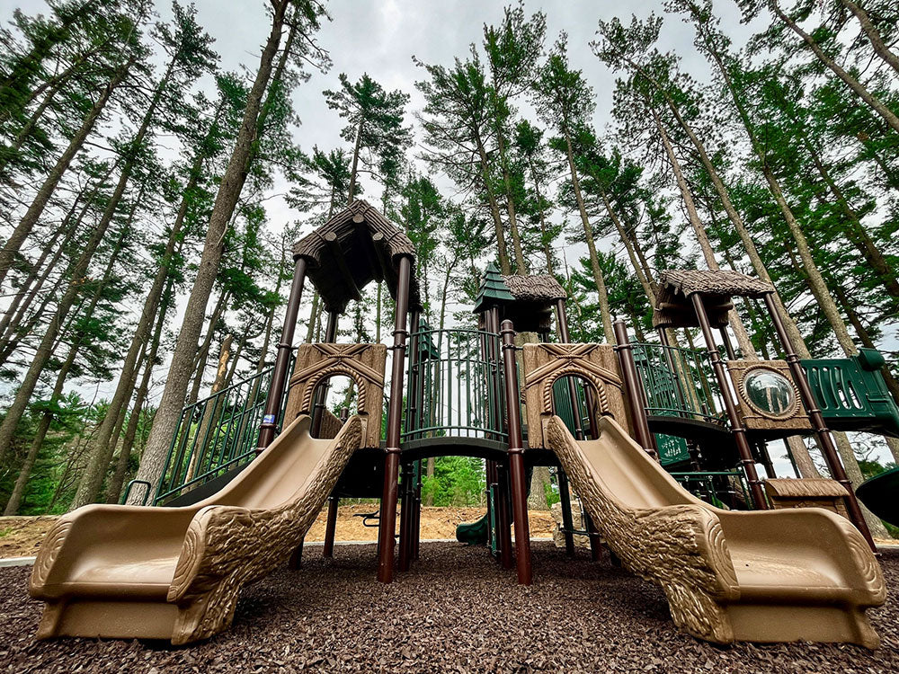 Mount Hood - Actively Play